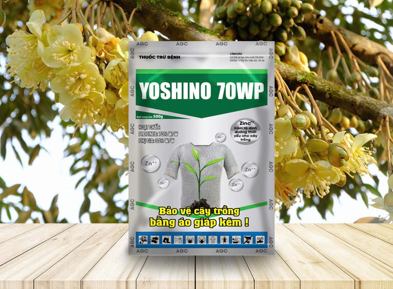 RỬA BÔNG YOSHINO 70WP 500gr - AGC TÂY NGUYÊN